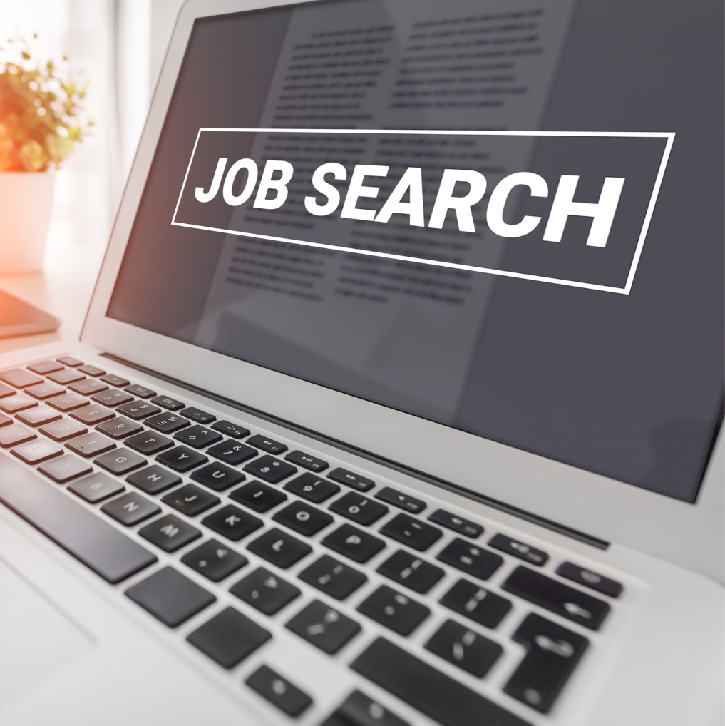 Sunday Night Job Hunting - HireIQ